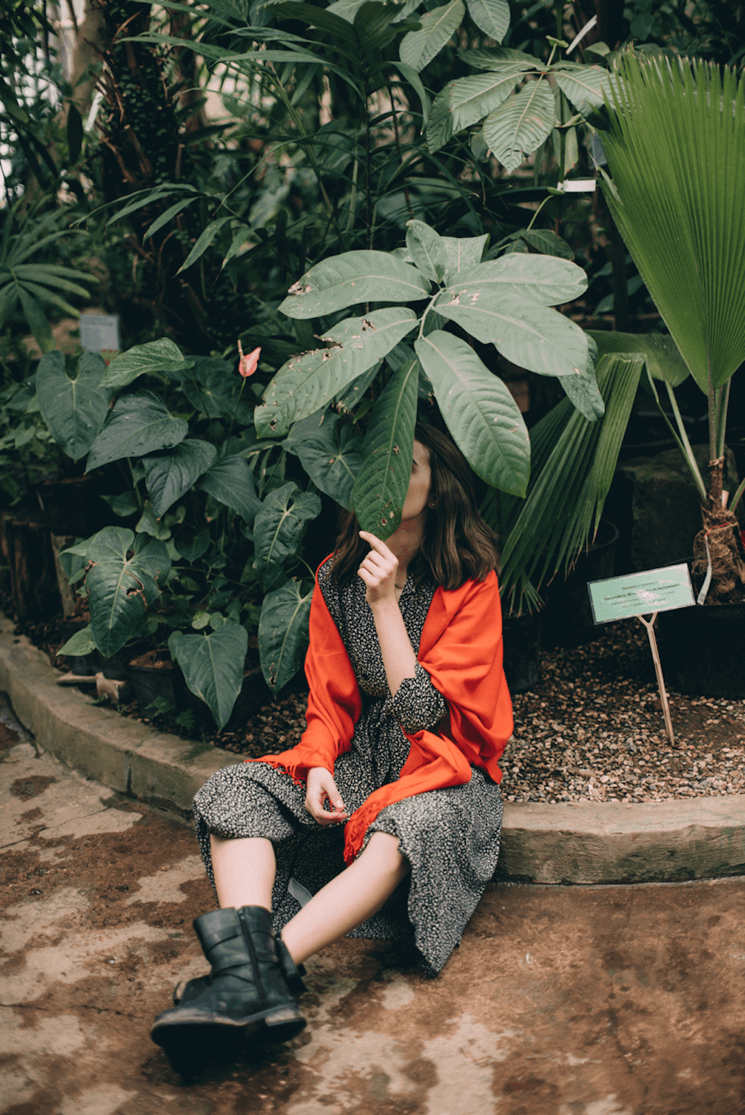 Naturally decomposable material | Packhelp