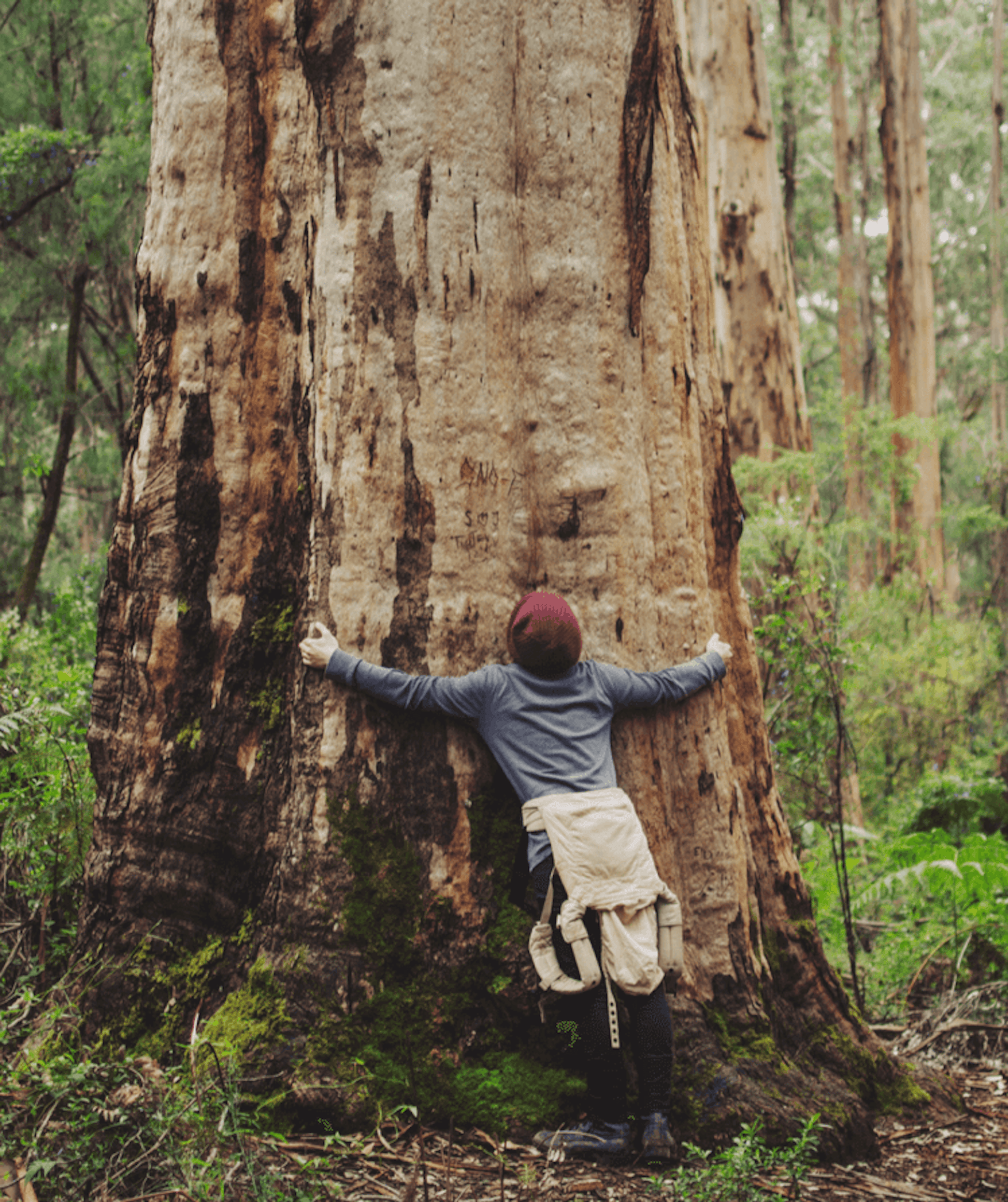 Environmental properties & Sustainable Packaging Supplies | Packhelp