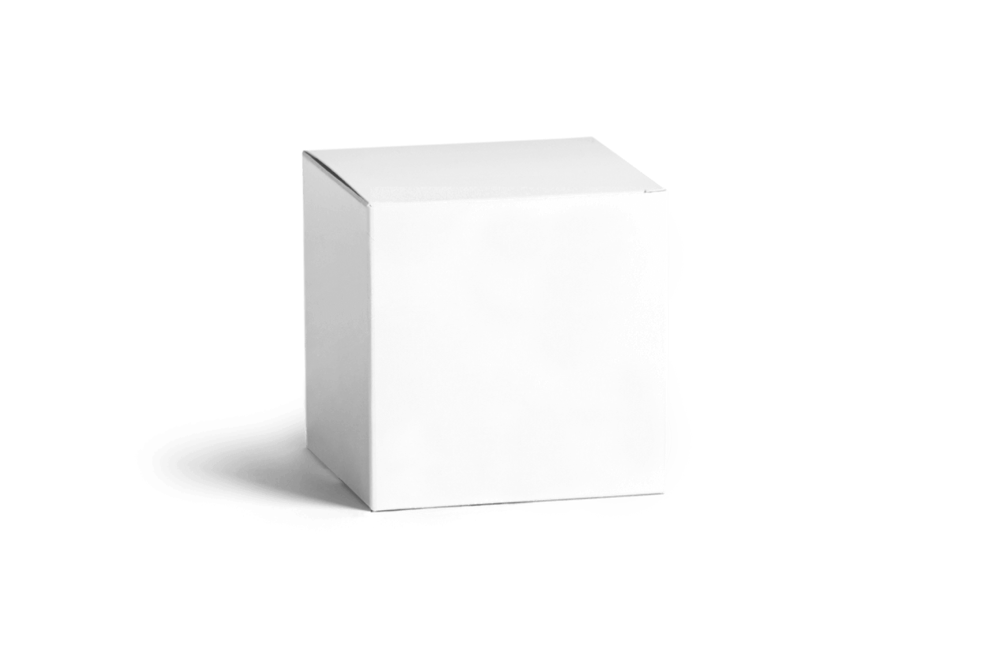 How Raylo decreased their packaging costs by 11% with Packhelp