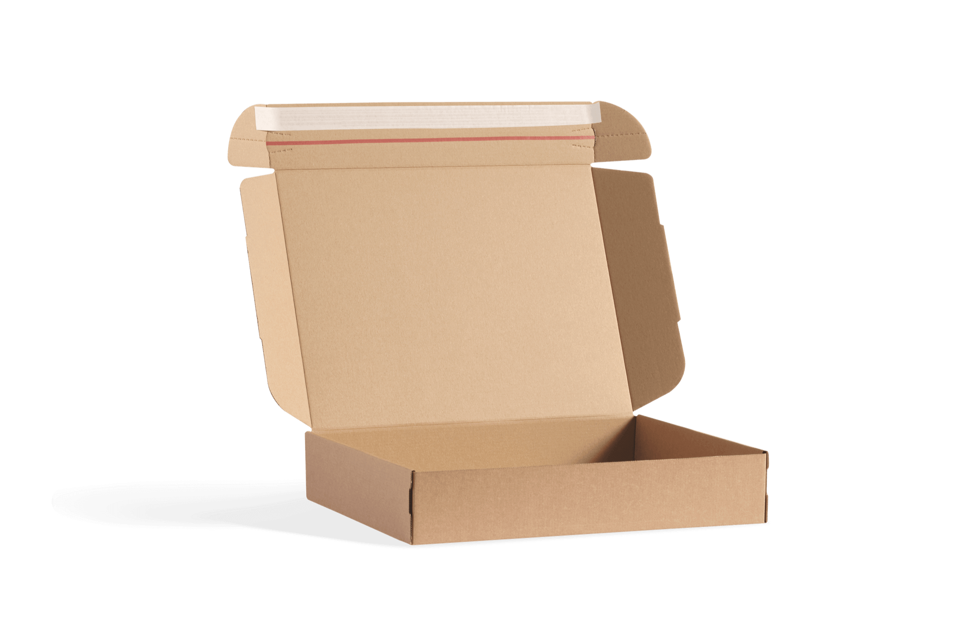 How Raylo decreased their packaging costs by 11% with Packhelp