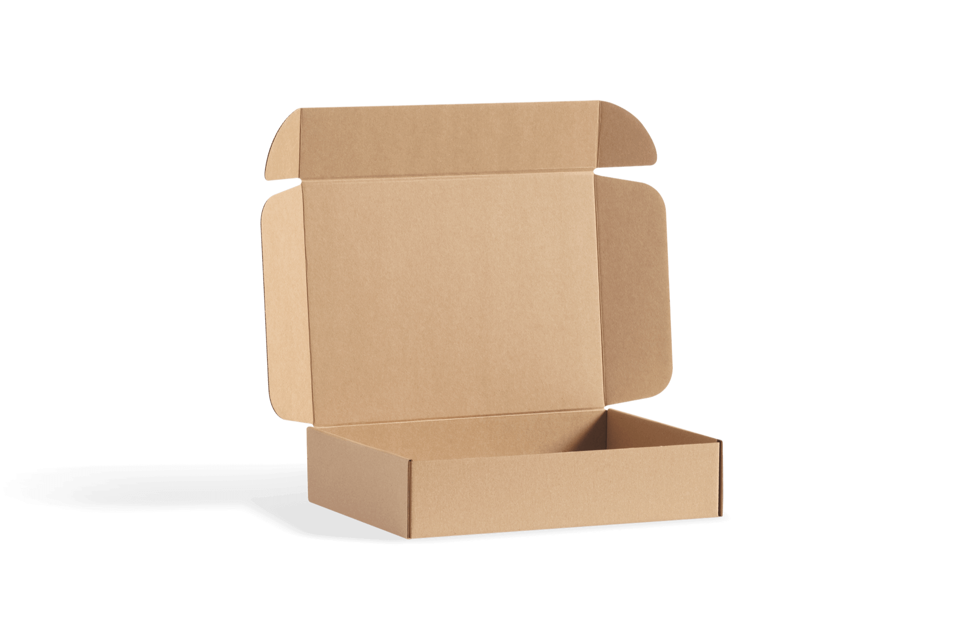 How Raylo decreased their packaging costs by 11% with Packhelp