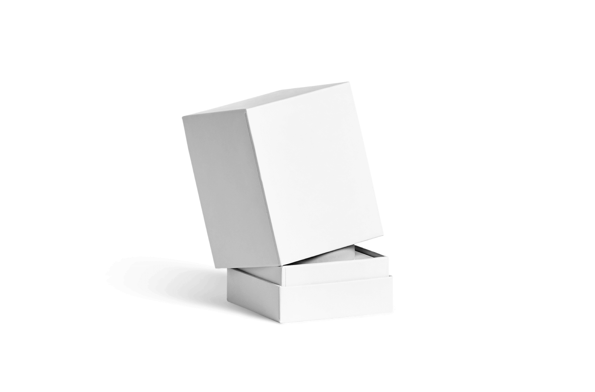 How Raylo decreased their packaging costs by 11% with Packhelp