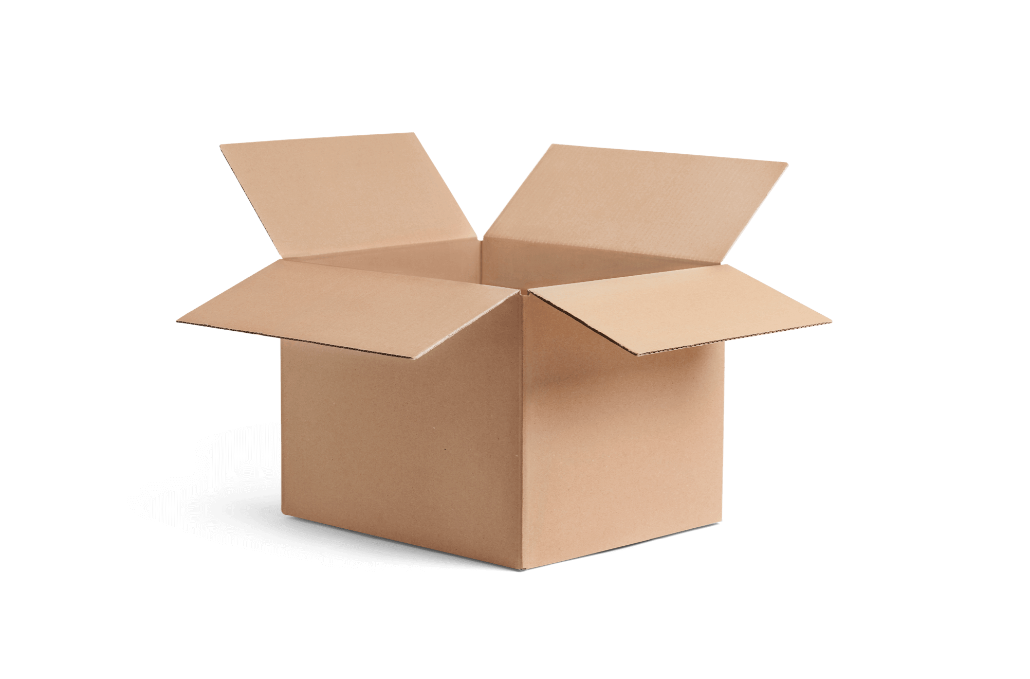 How Raylo decreased their packaging costs by 11% with Packhelp