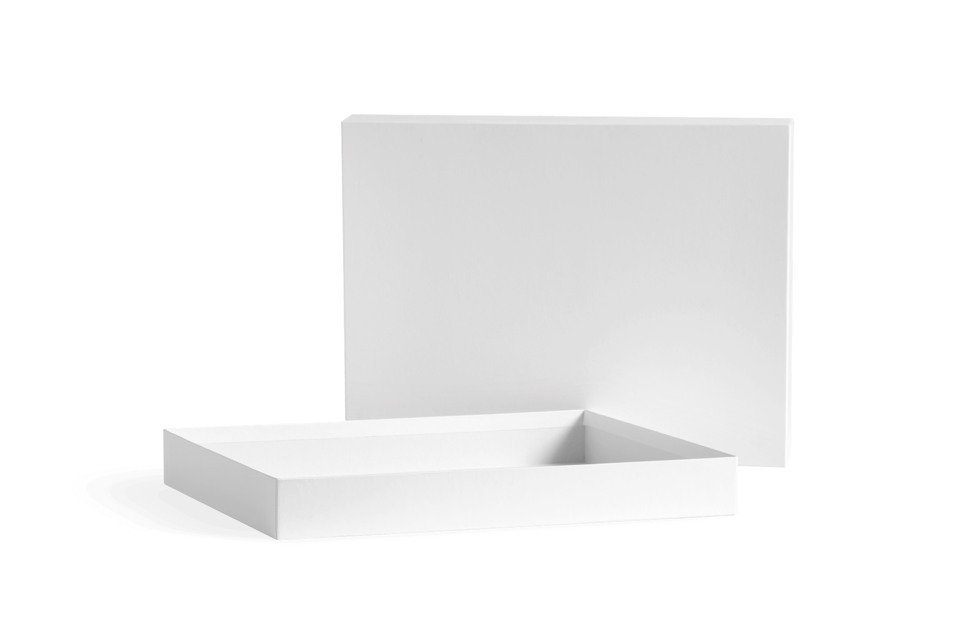 How Raylo decreased their packaging costs by 11% with Packhelp