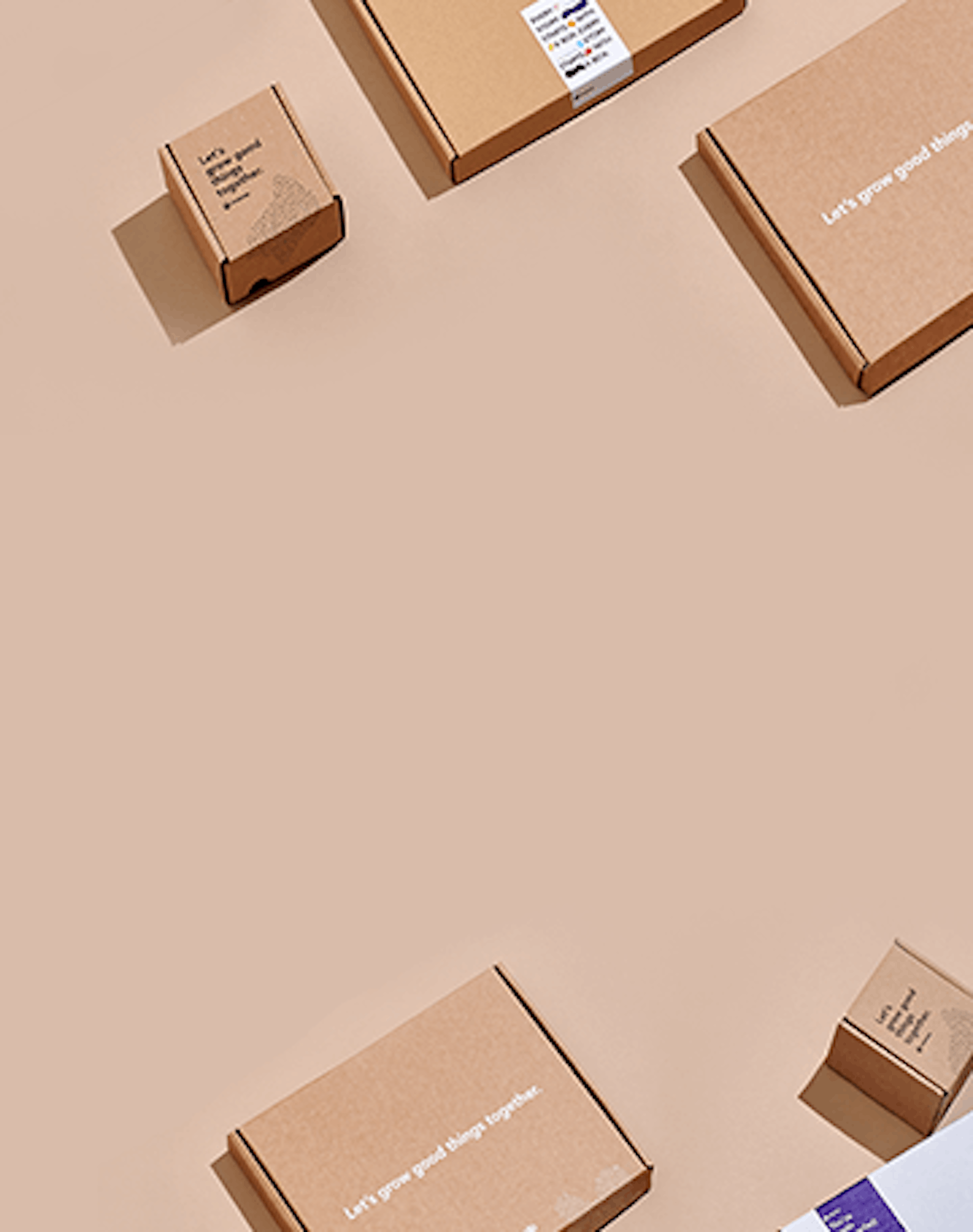 Are you looking for Packaging Samples? | Packhelp