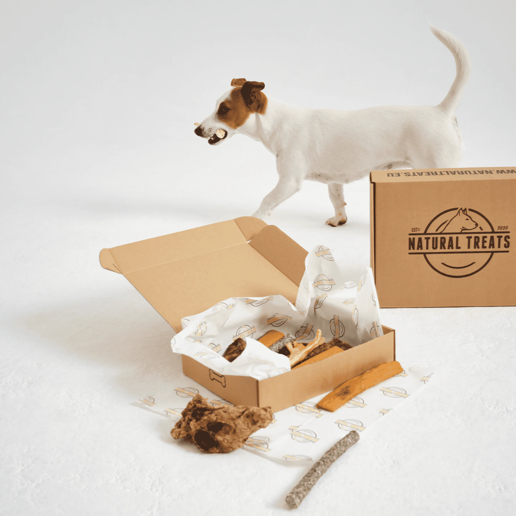 Die besten Design-Ideen für Ihre individuellen Verpackungen | Packhelp