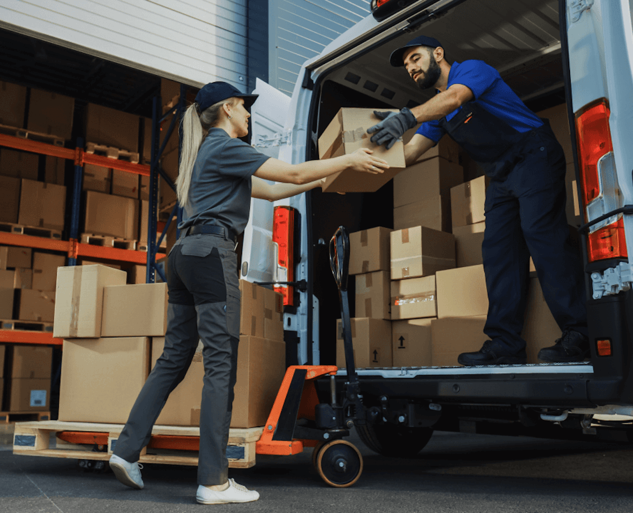 Packhelp Services Web (API) | Packhelp